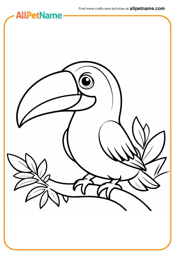 Toucan Coloring Pages (13 Free Printable Pages)