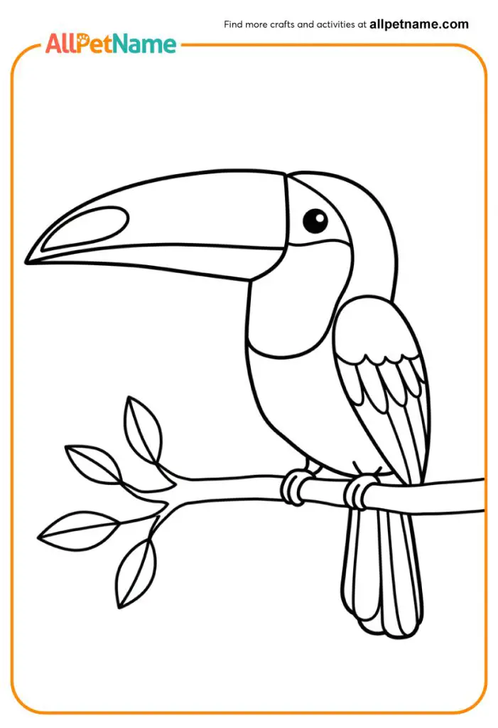 Toucan Coloring Pages (13 Free Printable Pages)
